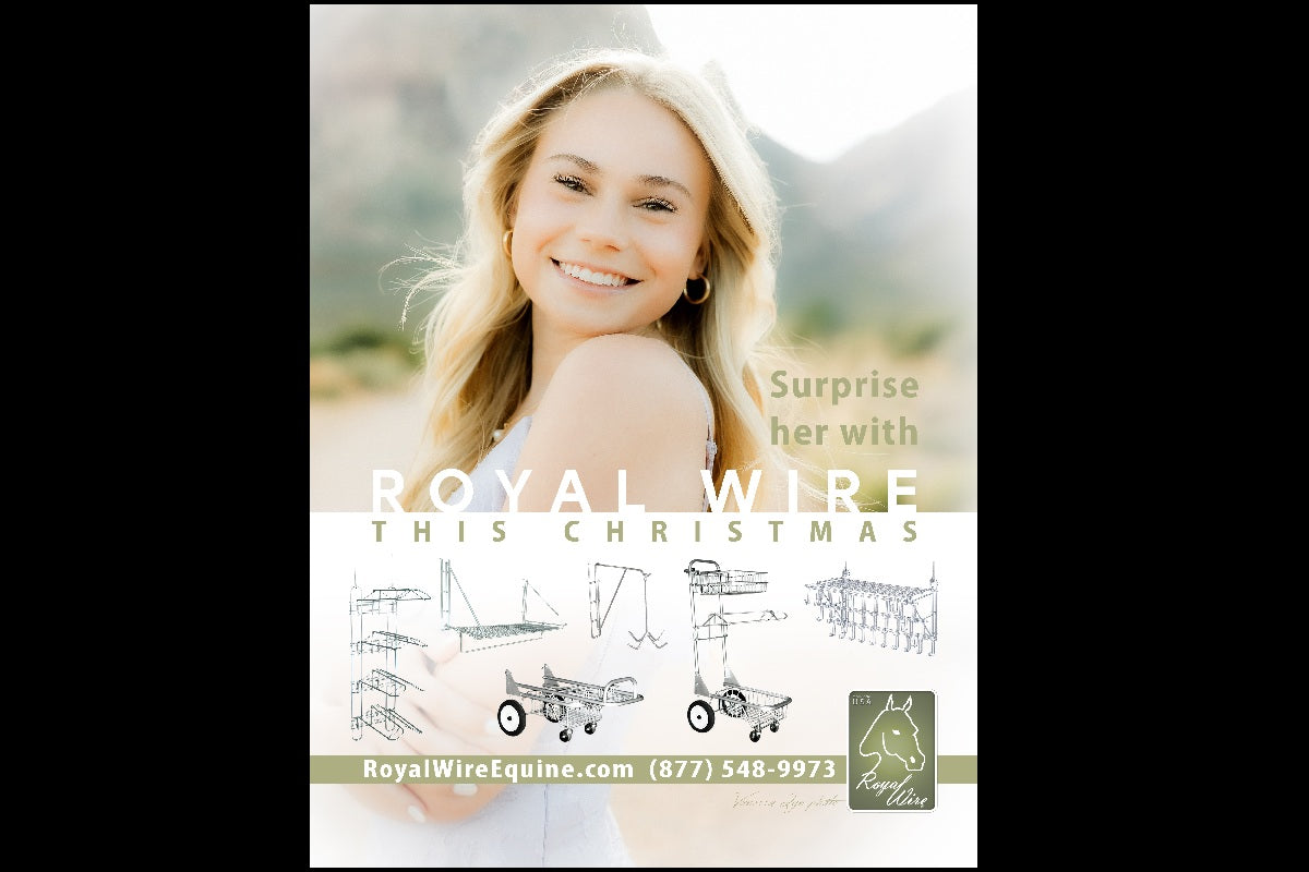 Ready to clear out tack room clutter? – Royal Wire Equine
